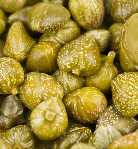 Alcaparras: Uso, benefícios e curiosidades - Mundo Agro